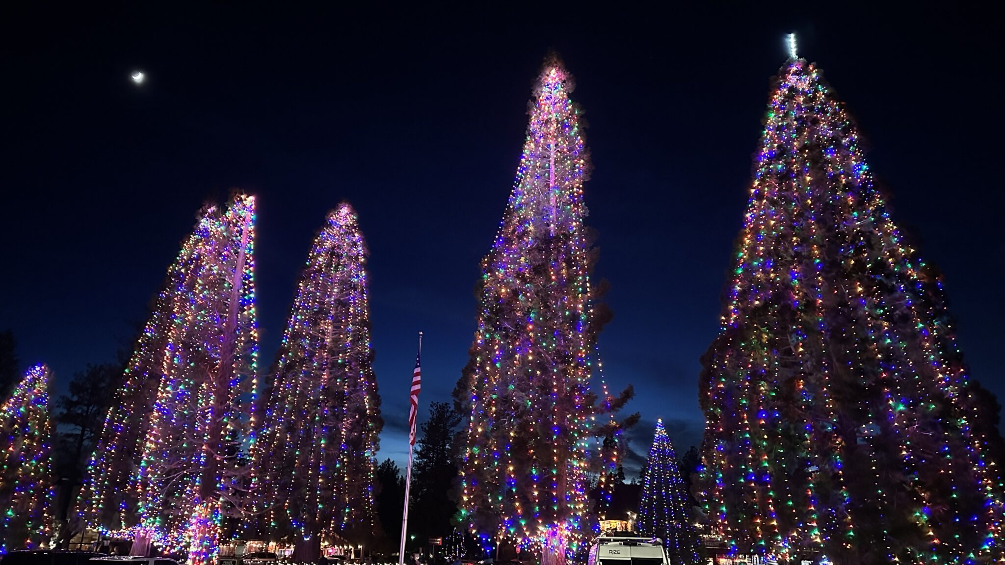 Tree Lighting Ceremony